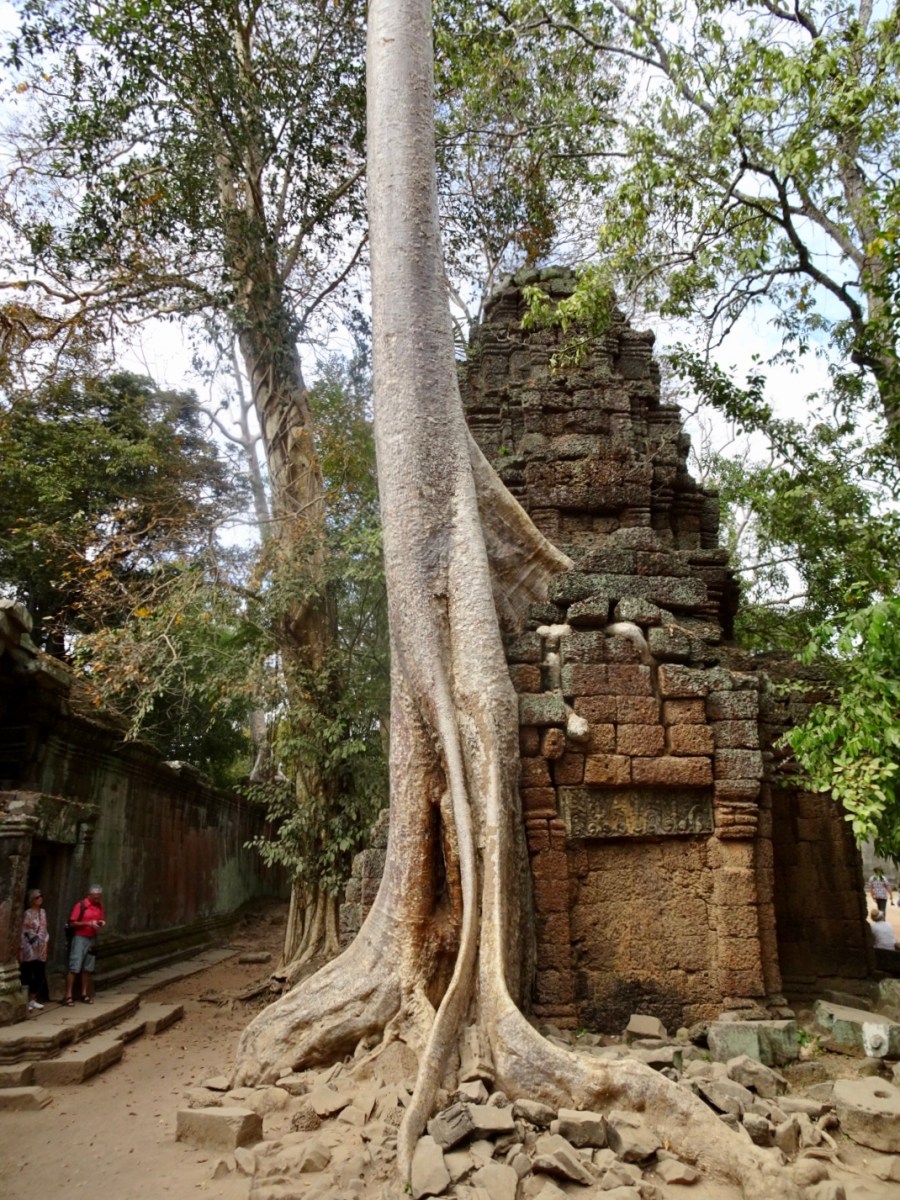 The one with all the Angkor temples – I've Bean Travelling