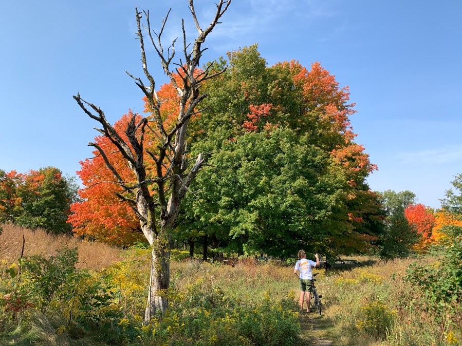 Autumn afternoon at High Park, Toronto – I've Bean Travelling