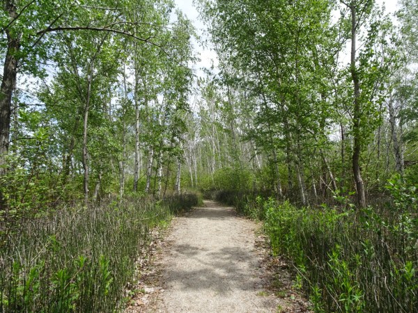 Urban wilderness at Tommy Thompson Park, Toronto – I've Bean Travelling