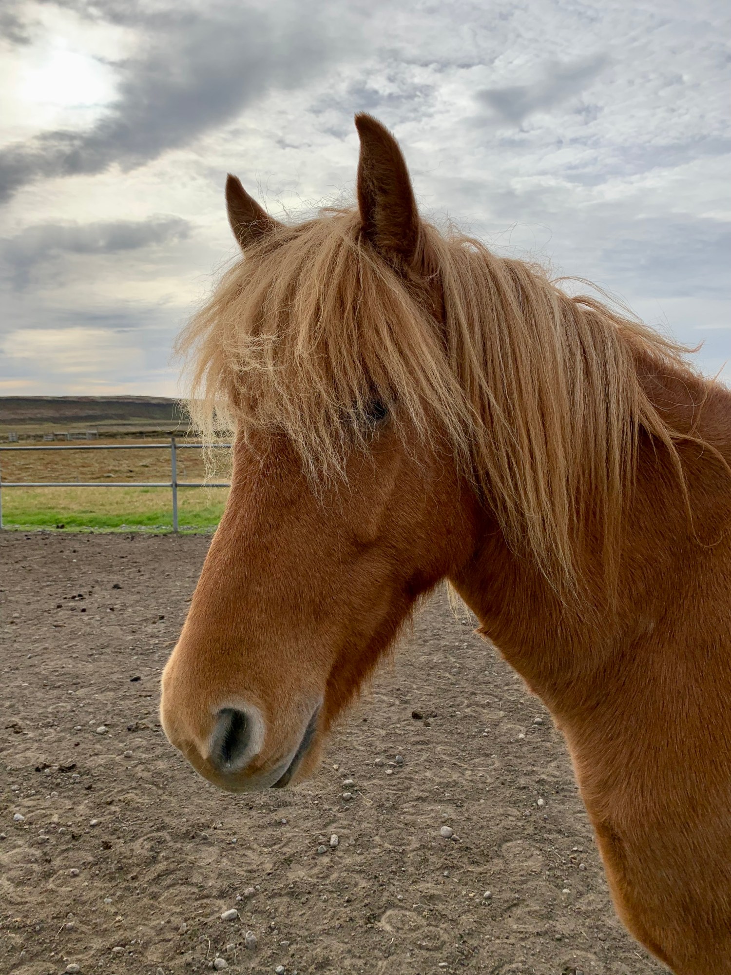 Touring the Golden Circle & Secret Lagoon, Iceland – I've Bean Travelling