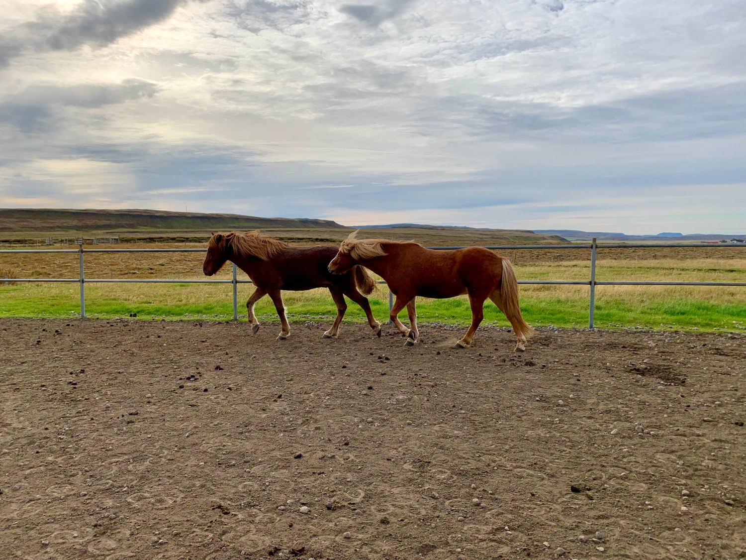 Touring the Golden Circle & Secret Lagoon, Iceland – I've Bean Travelling