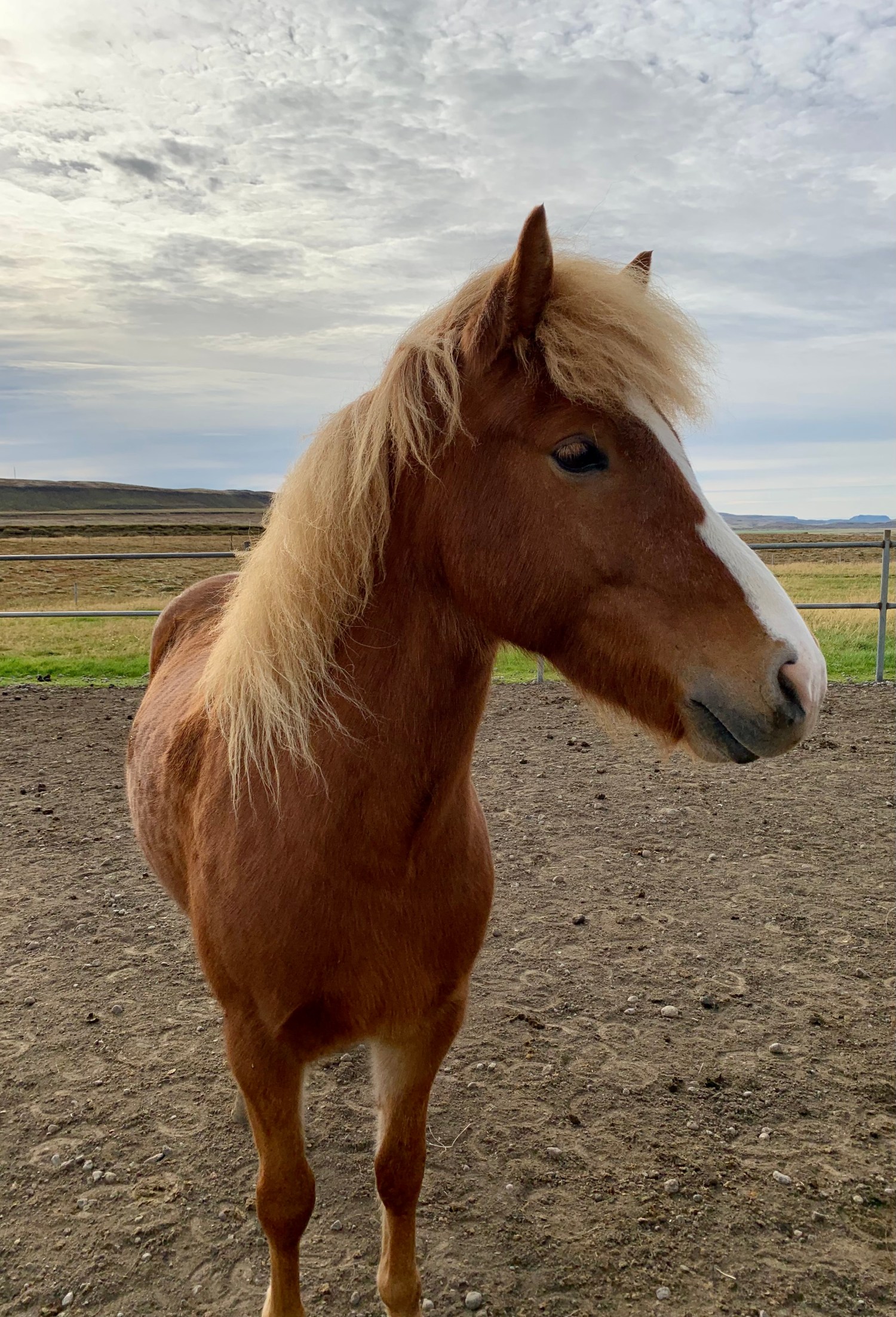 Touring the Golden Circle & Secret Lagoon, Iceland – I've Bean Travelling